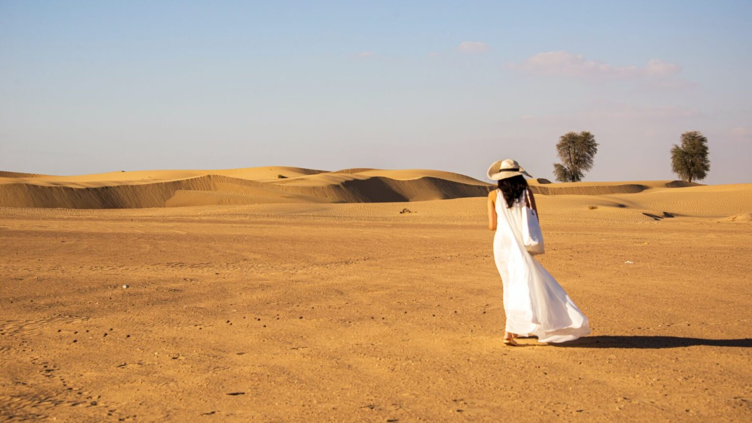 『MOROCCAN ROLL』 Brand X | LOG